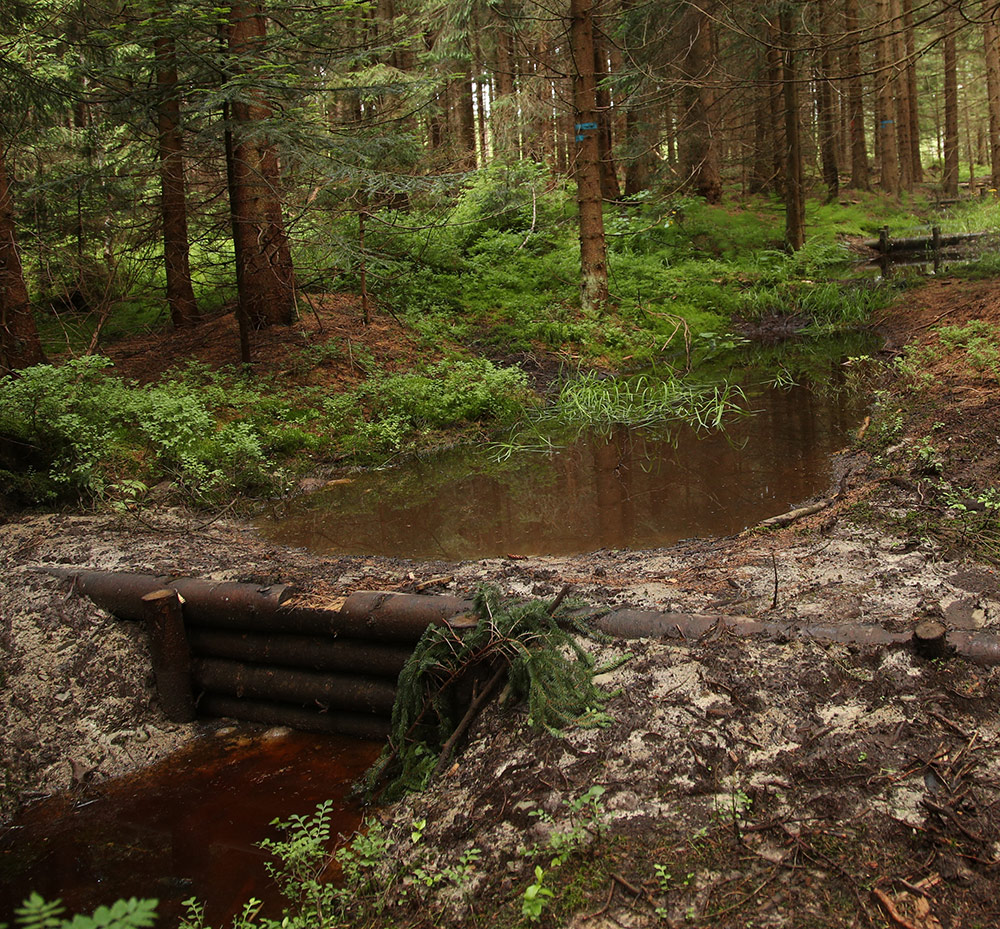 Improving peatland rehydration
