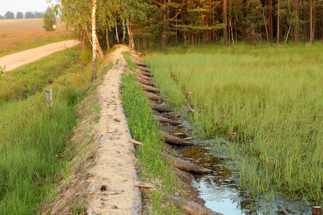 Improving peatland rehydration